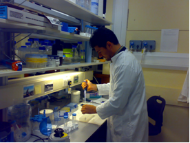 Methods | Gene Machines - Achillefs Kapanidis Group